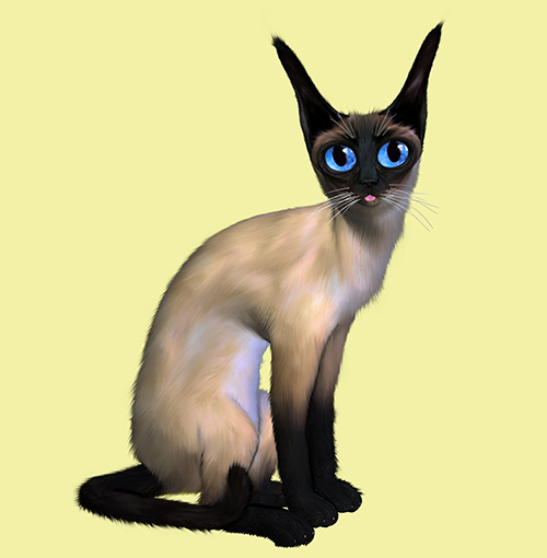 Frequently asked questions ⋆ The Artistic Cat ⋆ Illustration Services